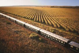 Rovos Rail Luxury Train - DiscoverByRail